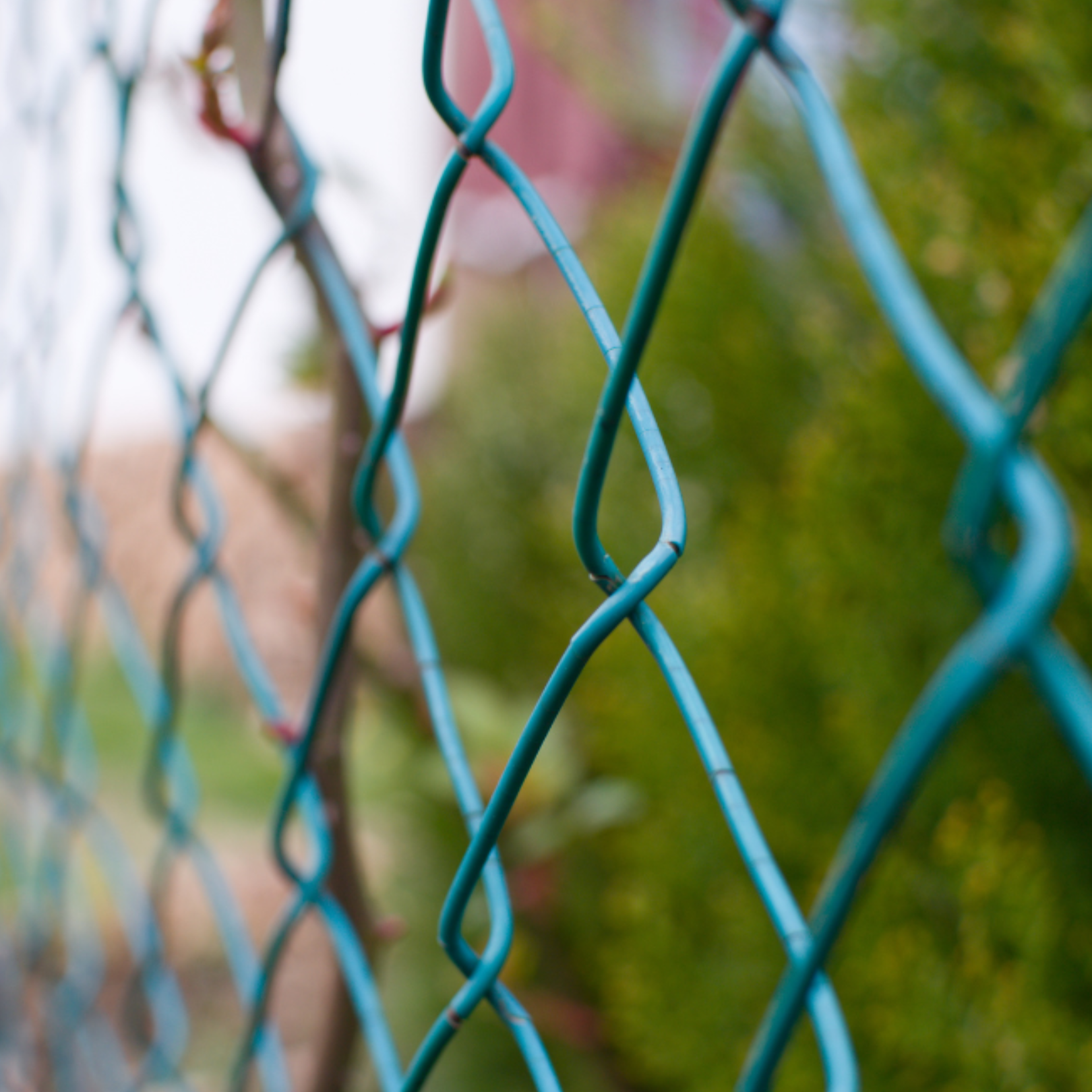 Garden Fencing Mesh | Fast Nationwide Delivery |Suregreen