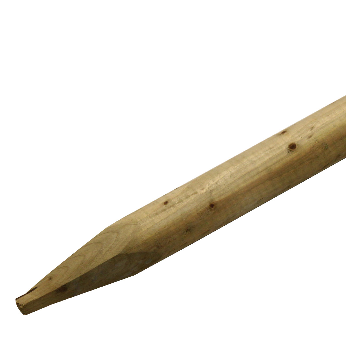 UC4 Round Fence Post | 1.65m x 50mm | Green Treated
