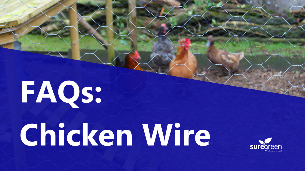 Chicken Wire – Galvanised Wire Fencing Mesh