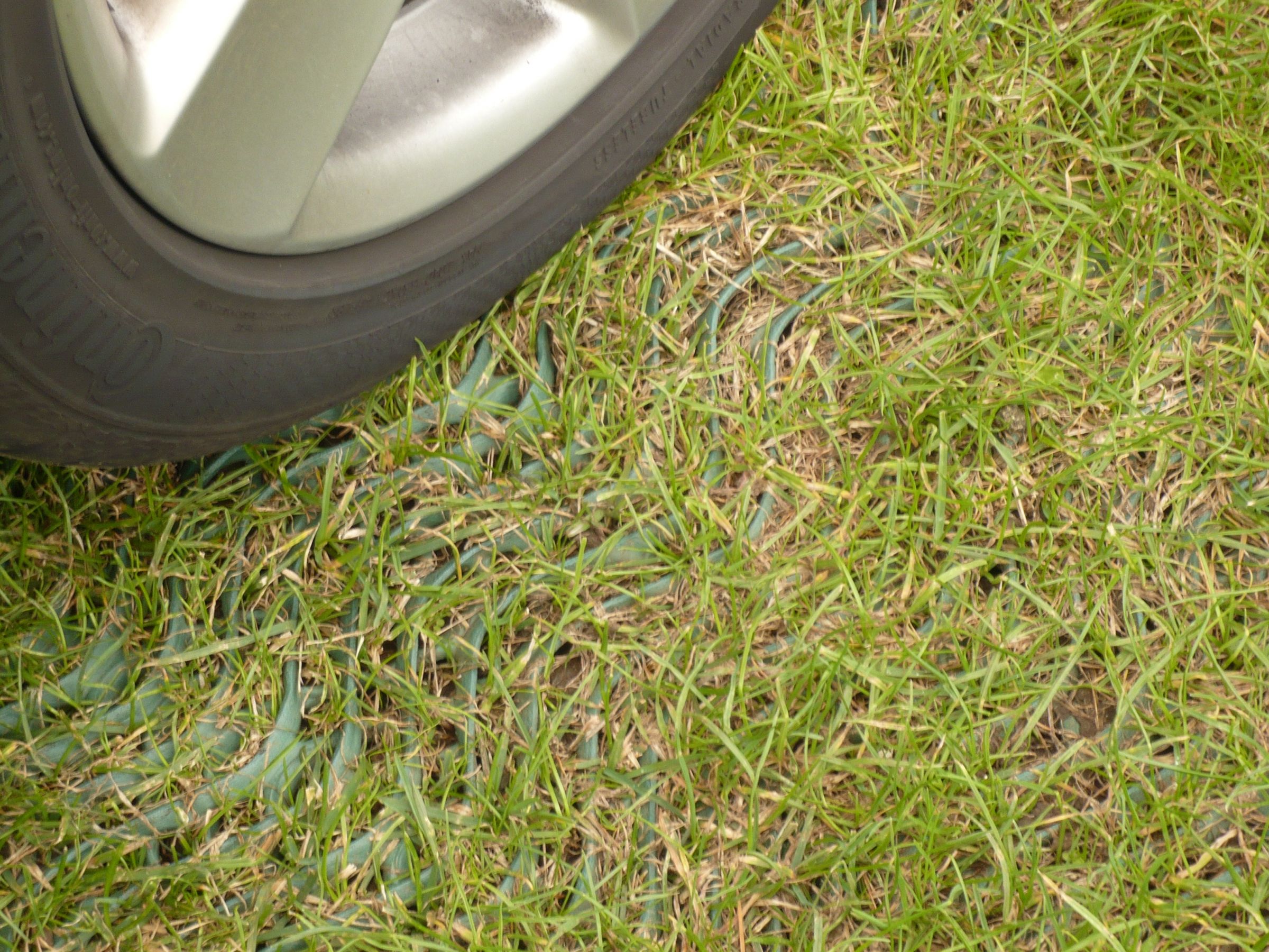 Suregreen | Product Data Sheet for Grass Protection Mesh