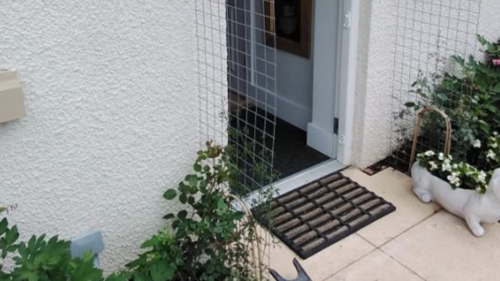 Top 2024 Landscaping Trends: Transforming Outdoor Spaces Sustainably